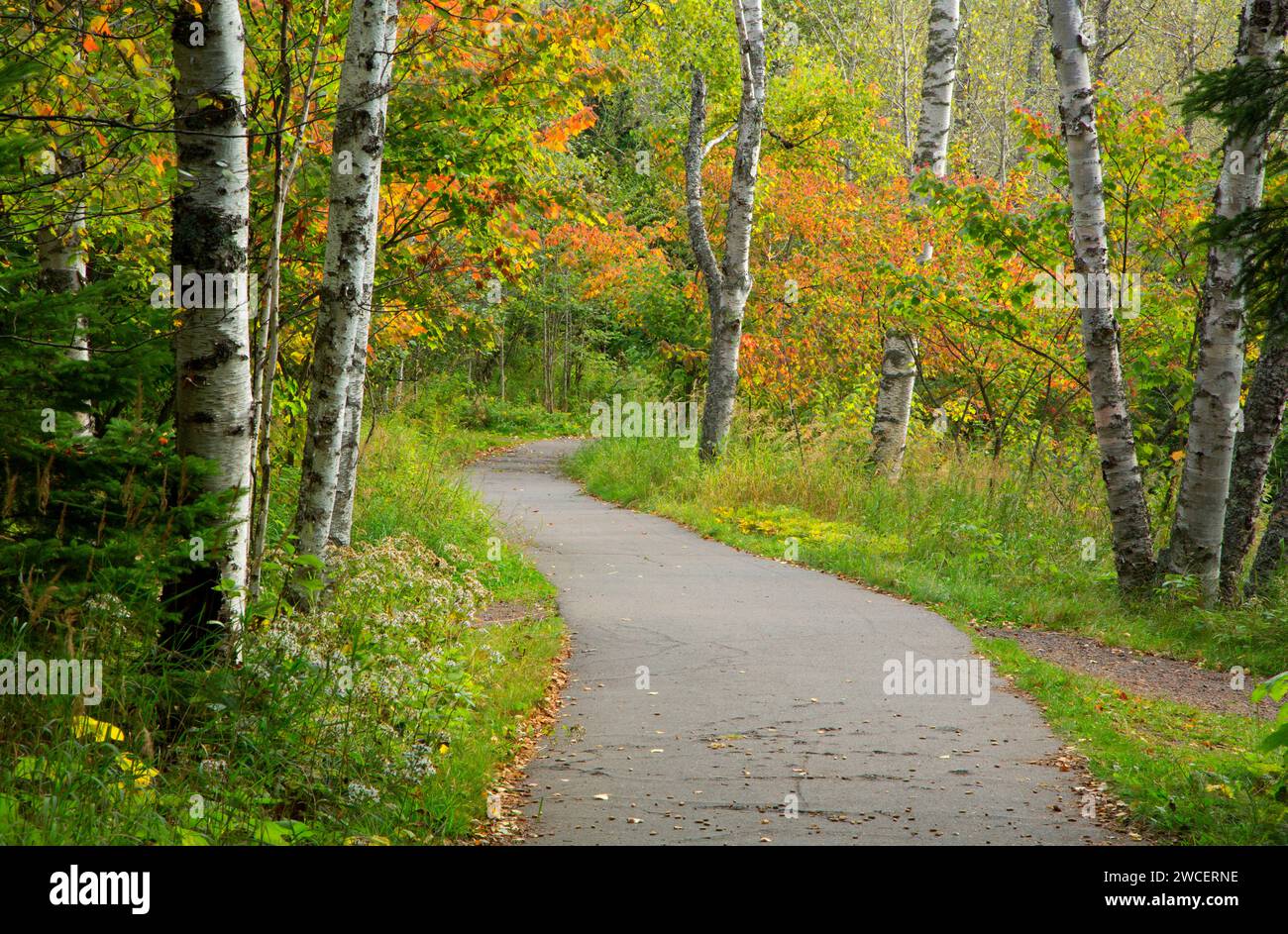Hiking path, Gooseberry Falls State Park, Minnesota Stock Photo - Alamy