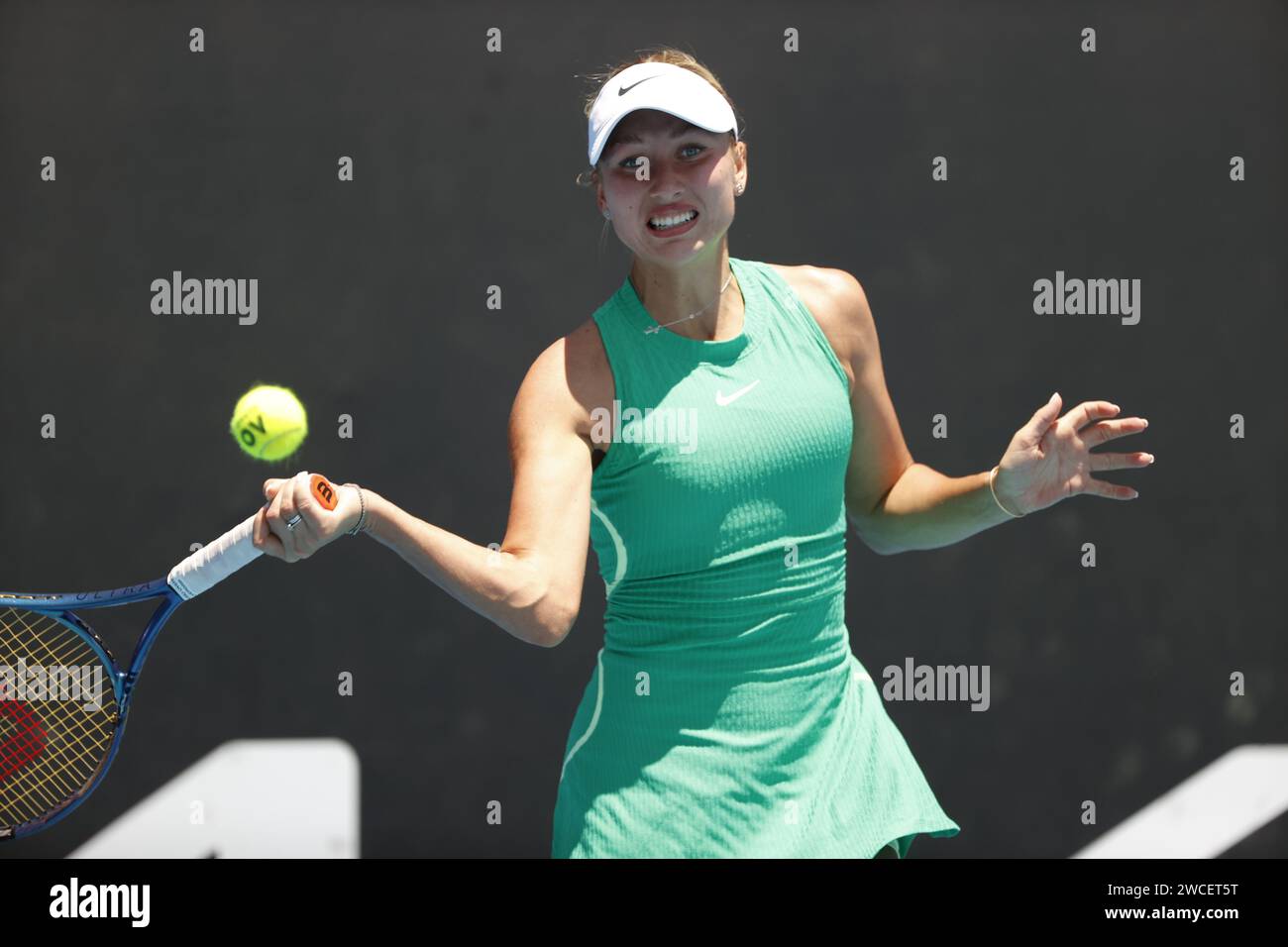 Potapova hi-res stock photography and images - Alamy