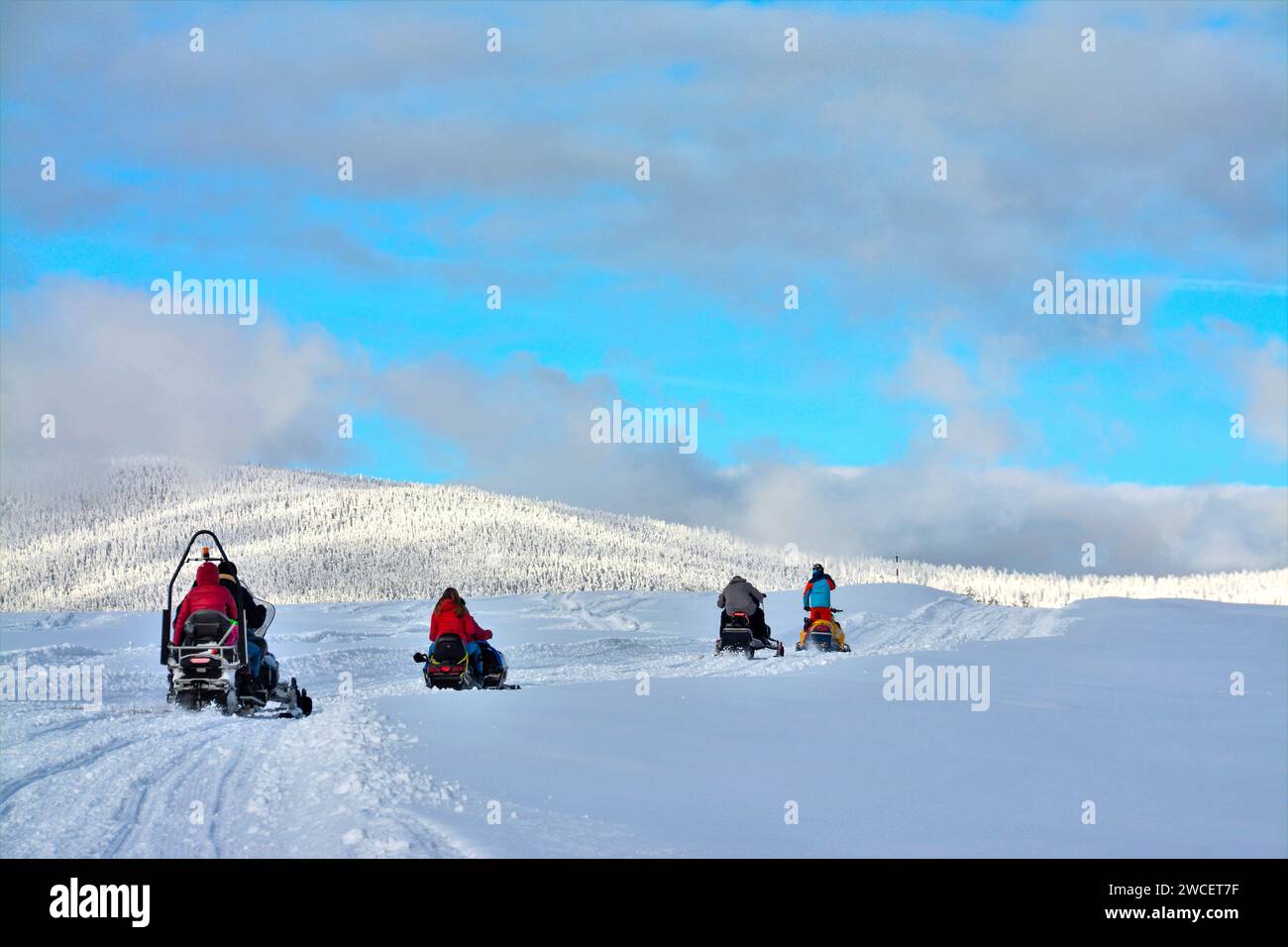 A group of people on a snowmobile in a mountain area with snowmobiles ...