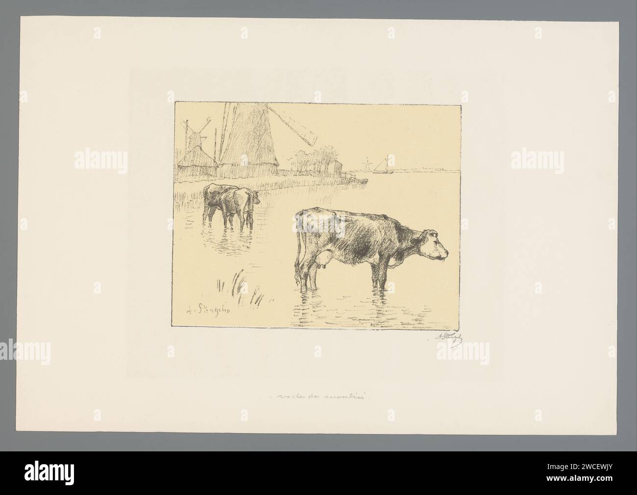 Cows in the water near a mill, Alphonse Stengelin, 1876 - 1910 print ...