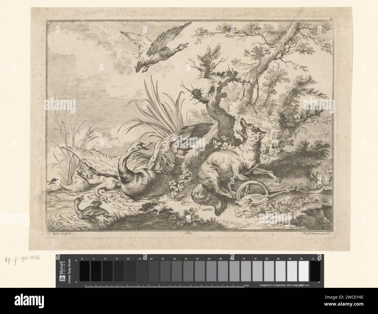 Wolf in a clamp with a goose and ducks, Gottlieb Friedrich Riedel, 1734 ...