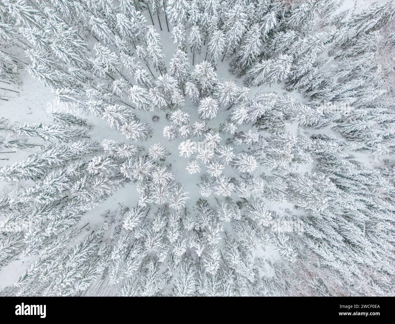 Birds eye view snowy wood hi-res stock photography and images - Alamy