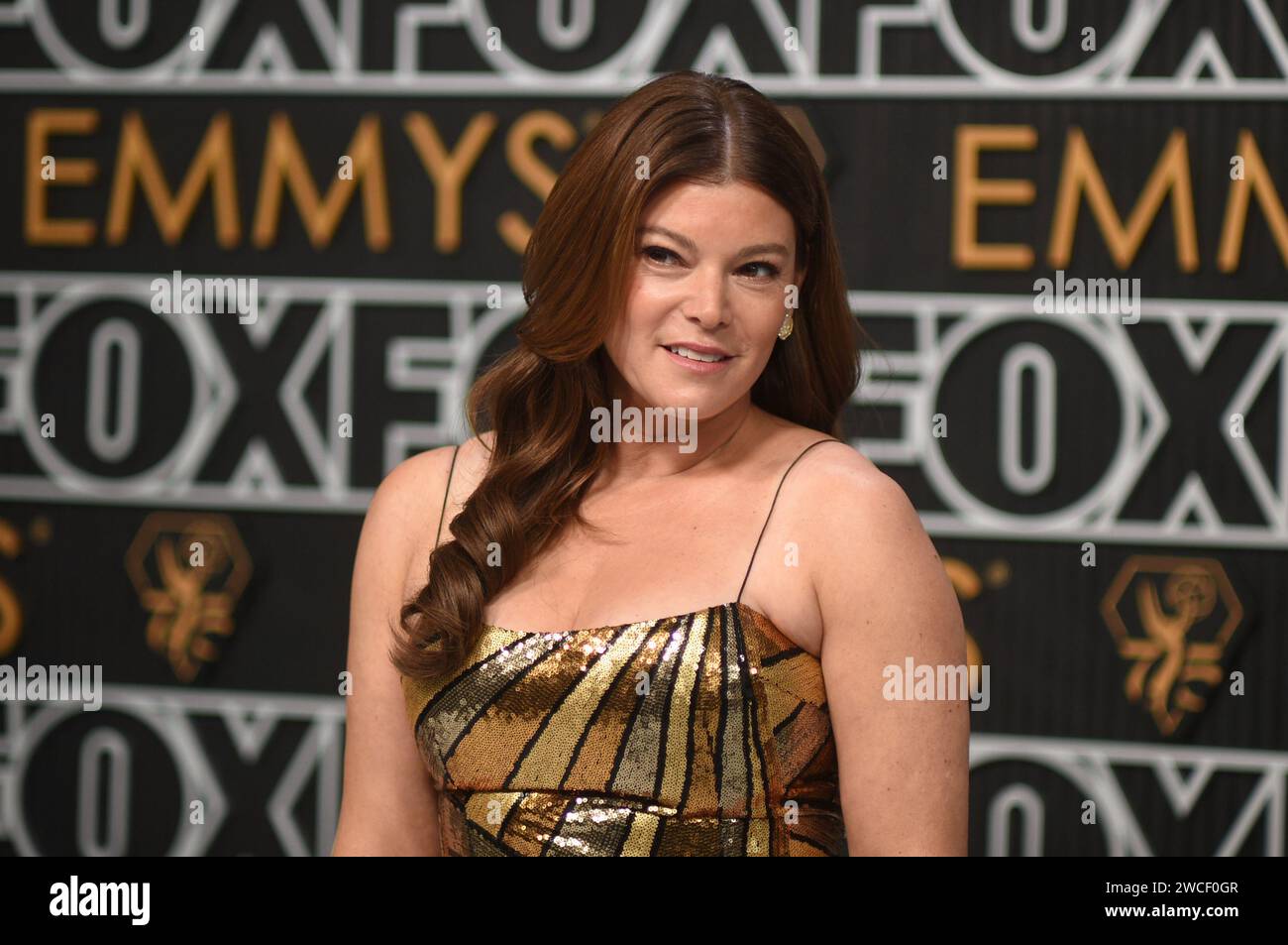 Gail Simmons arrives at the 75th Primetime Emmy Awards on Monday, Jan ...