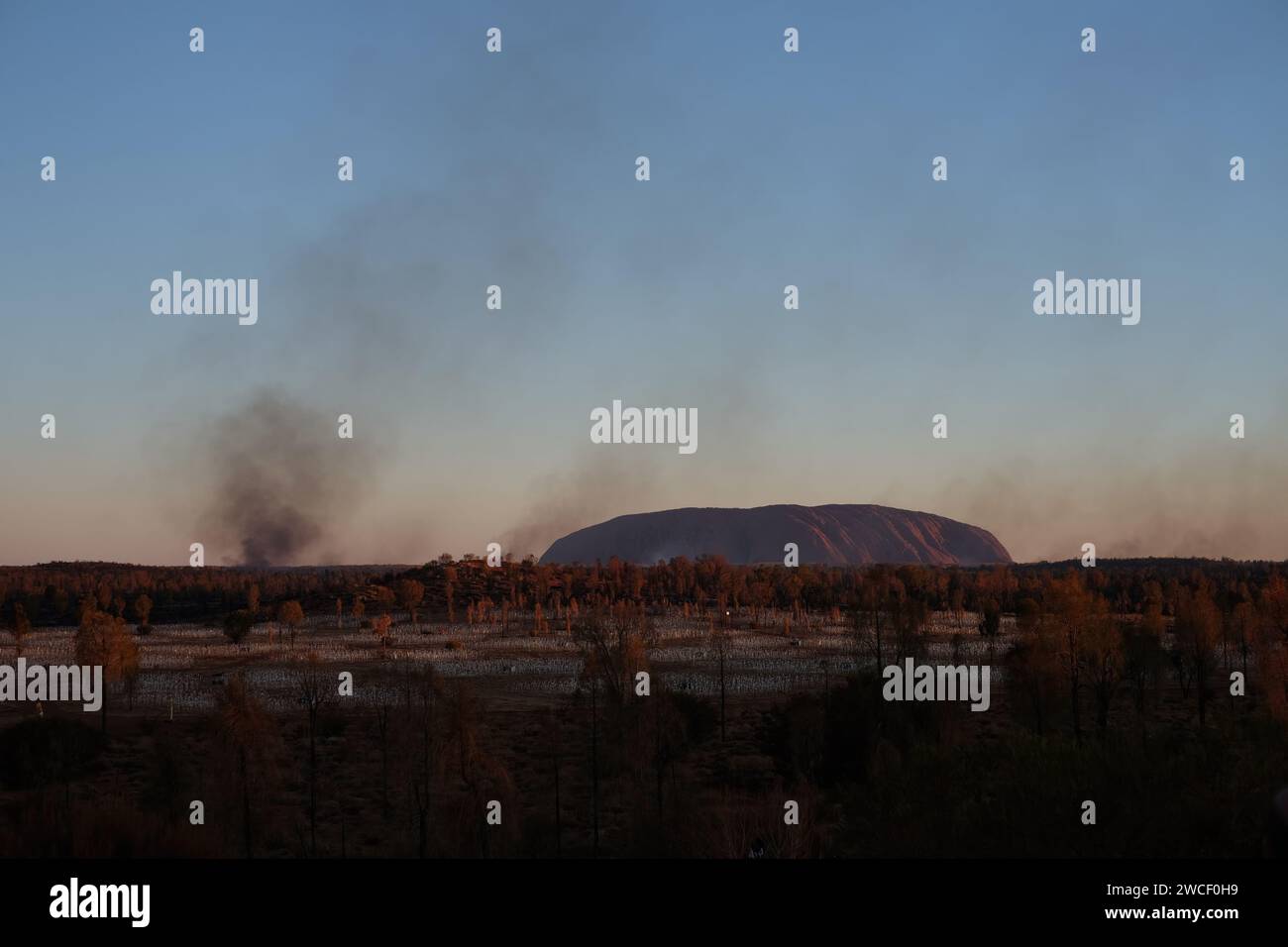 Field of Light (day) art installation by artist Bruce Munro & Uluru at ...