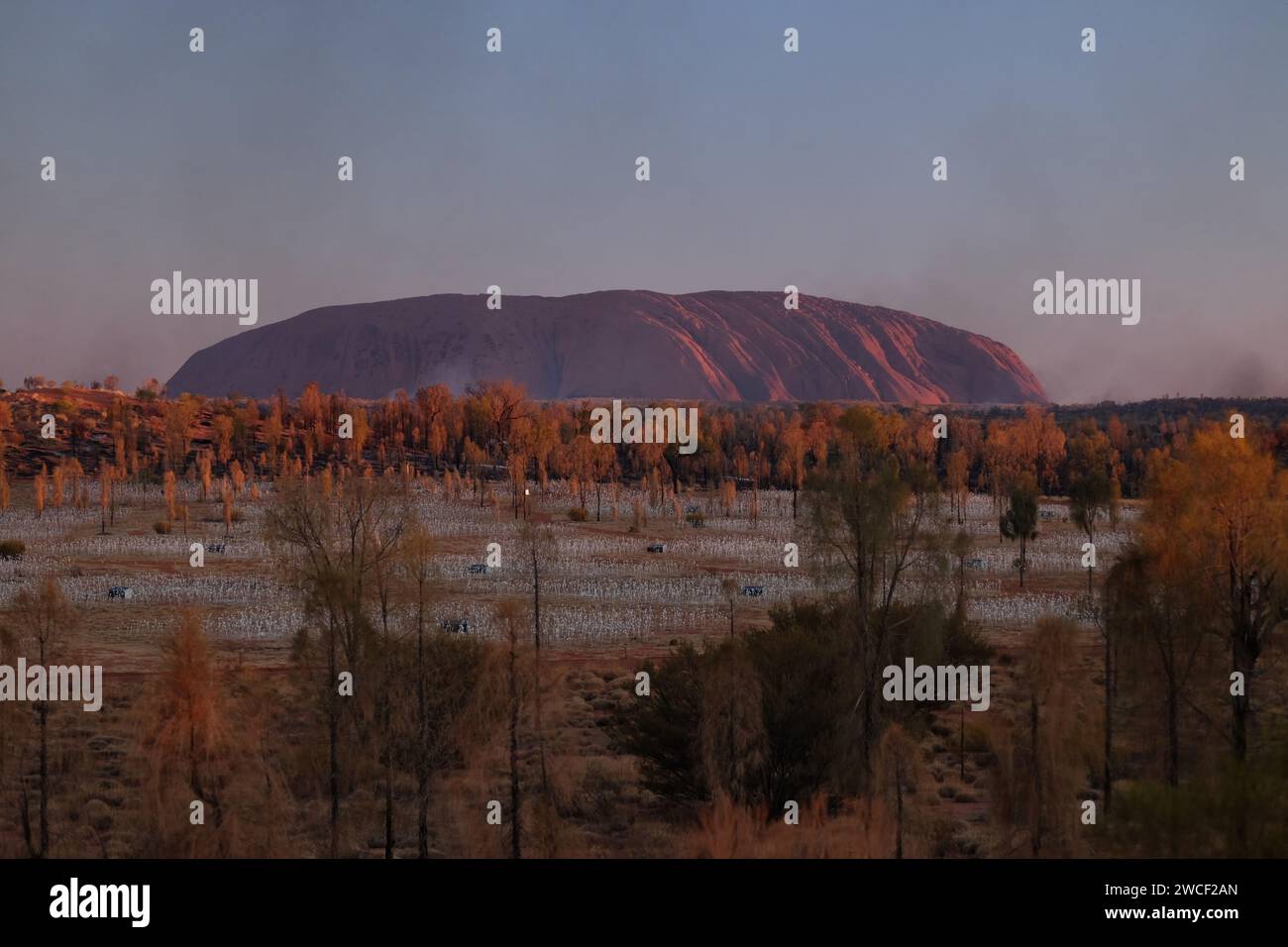 Outback Australia, last rays of sunlight on Uluru and the Field of ...