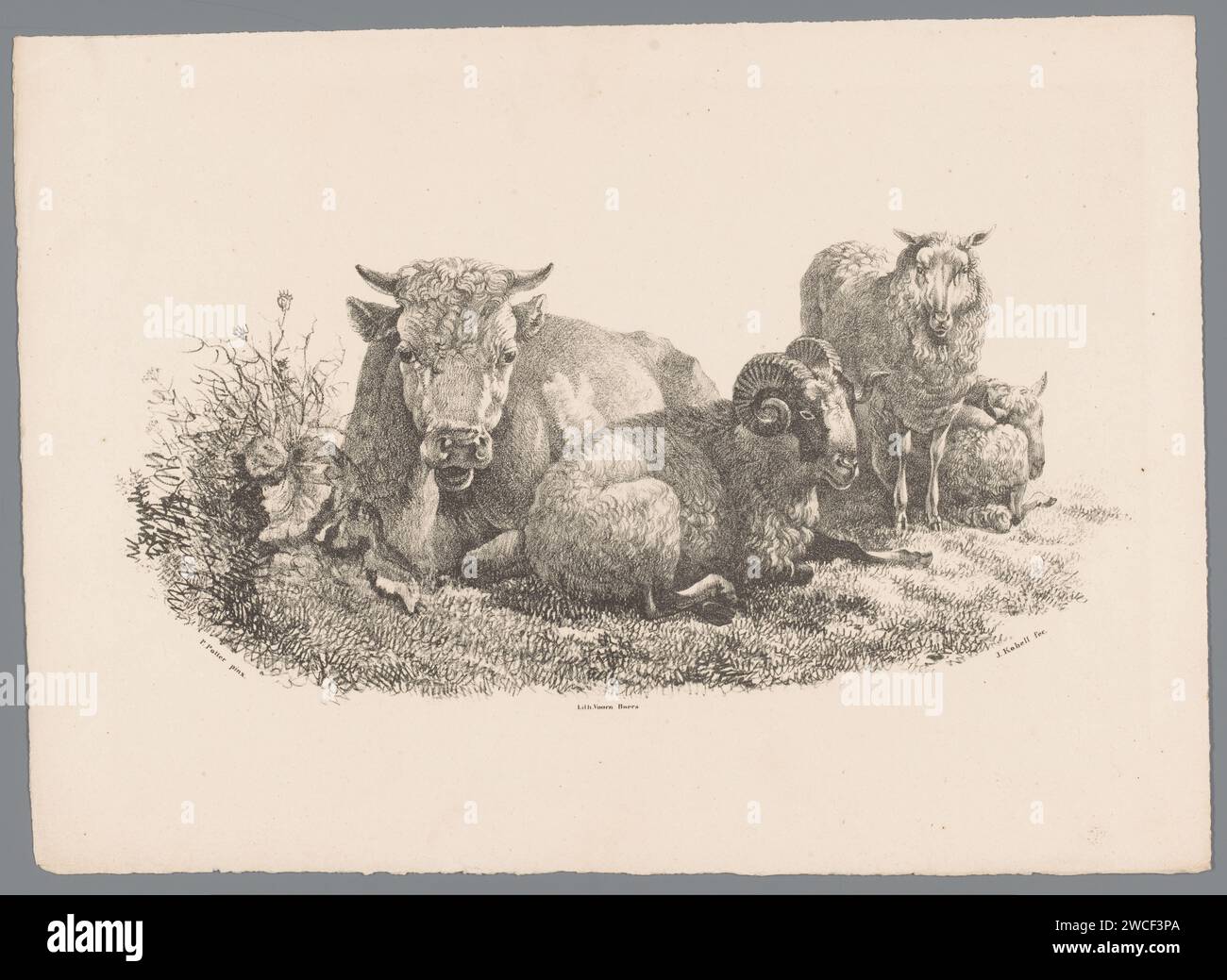 Six separate prints hi-res stock photography and images - Alamy