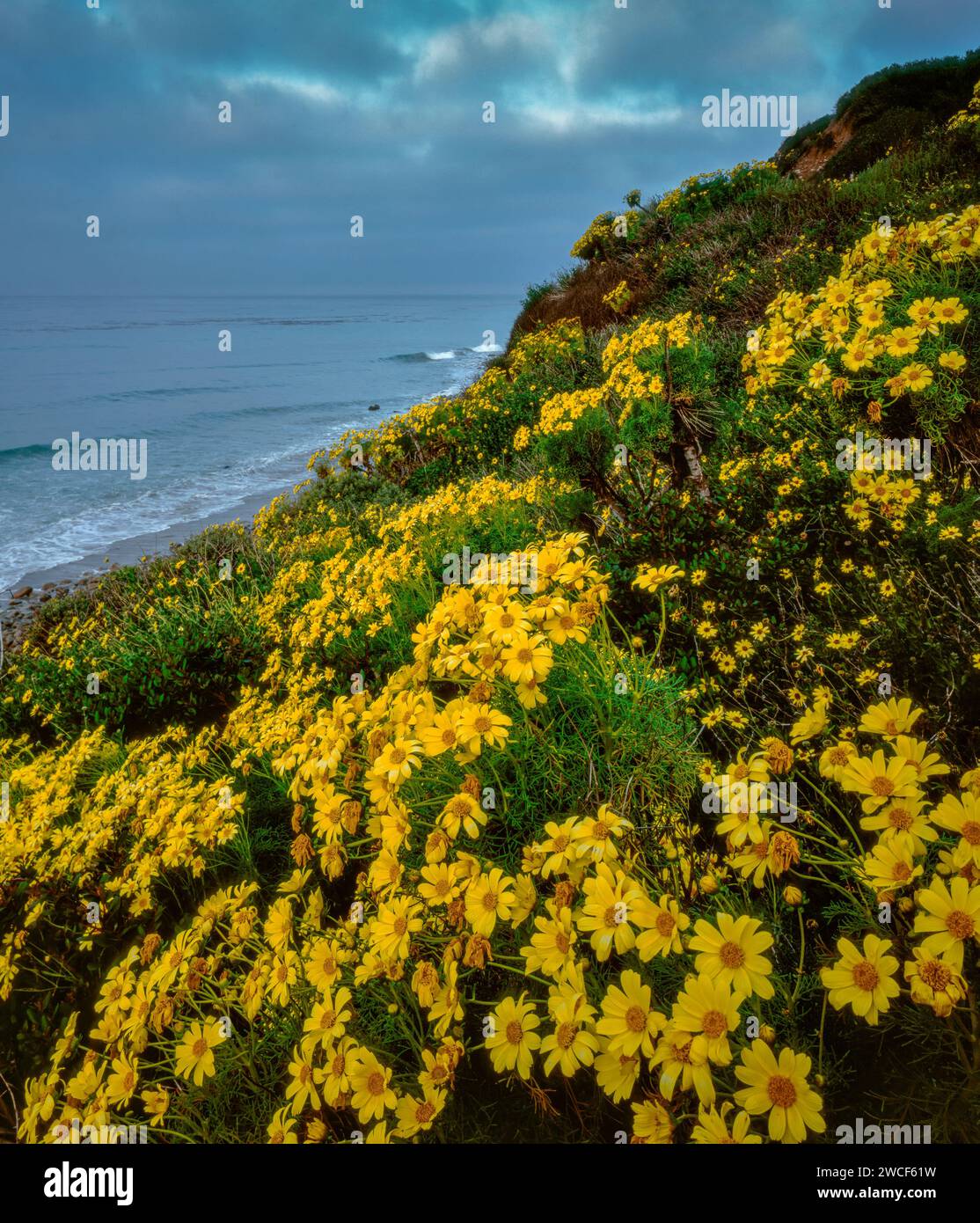 Malibu beach pacific coast hi-res stock photography and images - Alamy
