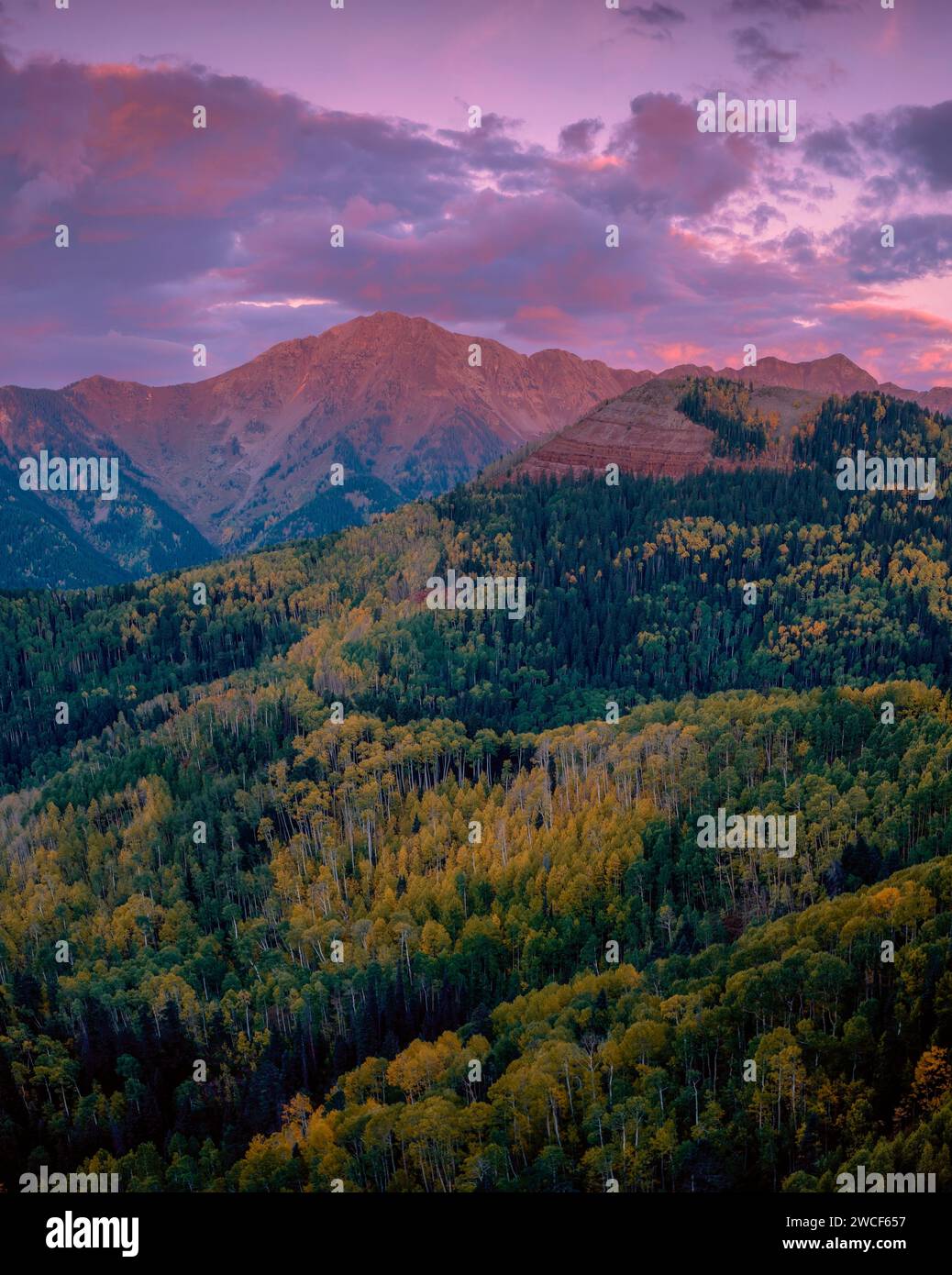 Silver dawn at first light hi-res stock photography and images - Alamy