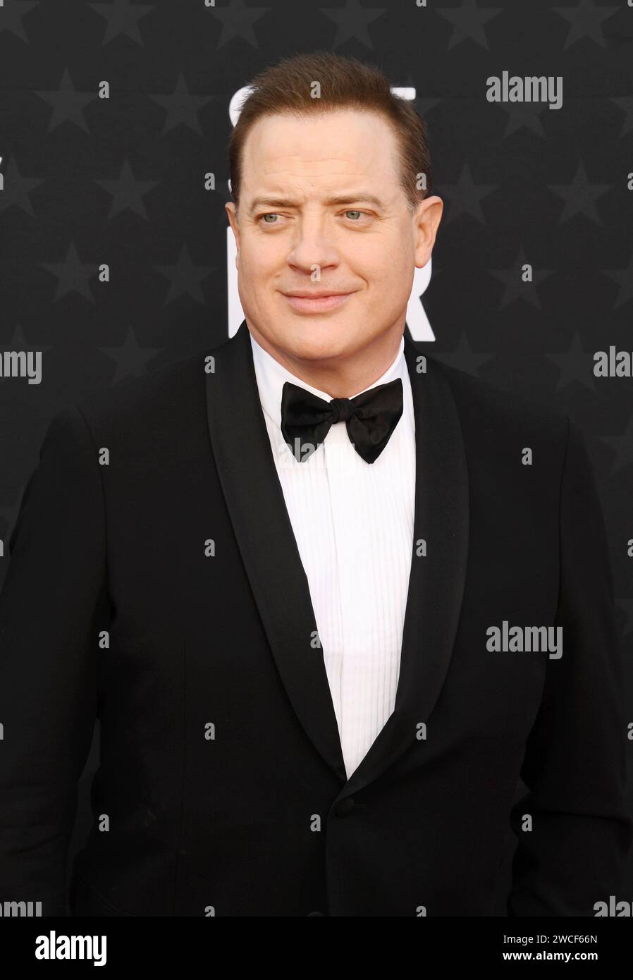 Santa Monica, California, USA. 14th Jan, 2024. Brendan Fraser attends ...