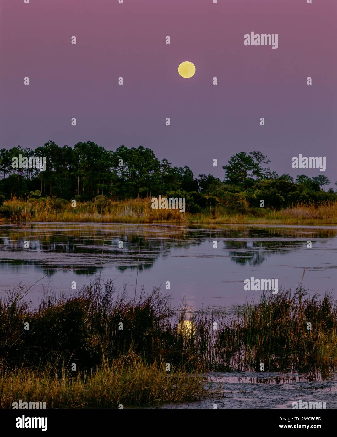 Coastal moonrise hi-res stock photography and images - Alamy