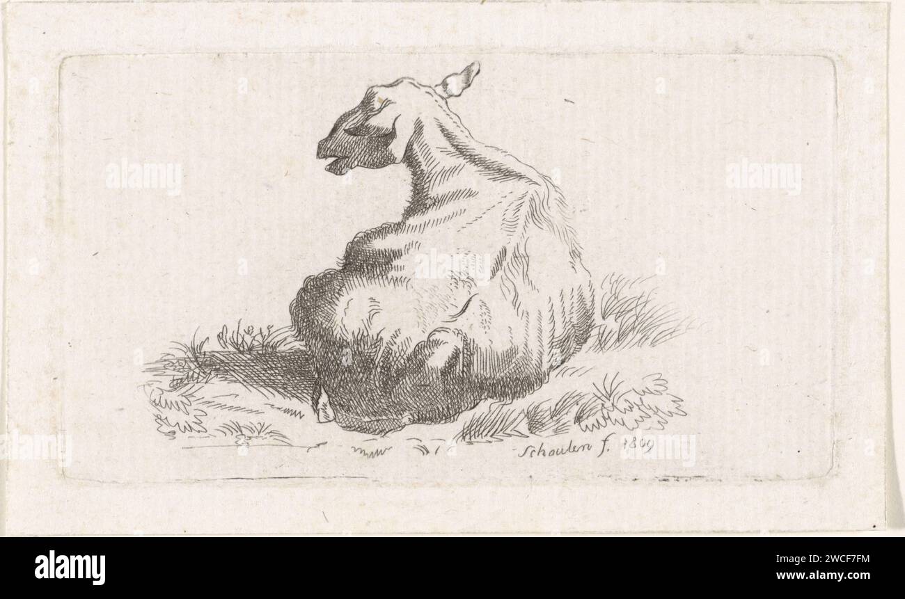 Lying Schaap, Hendrik Marcus Schouten, 1809 print paper etching sheep ...