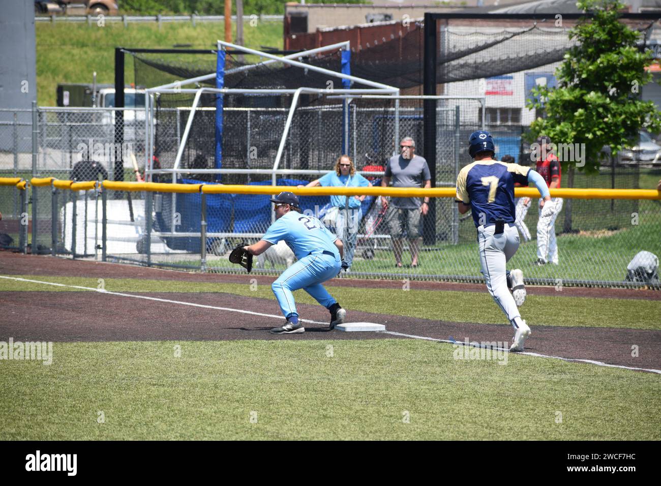 Close play at first base during a college baseball game, Trinity ...