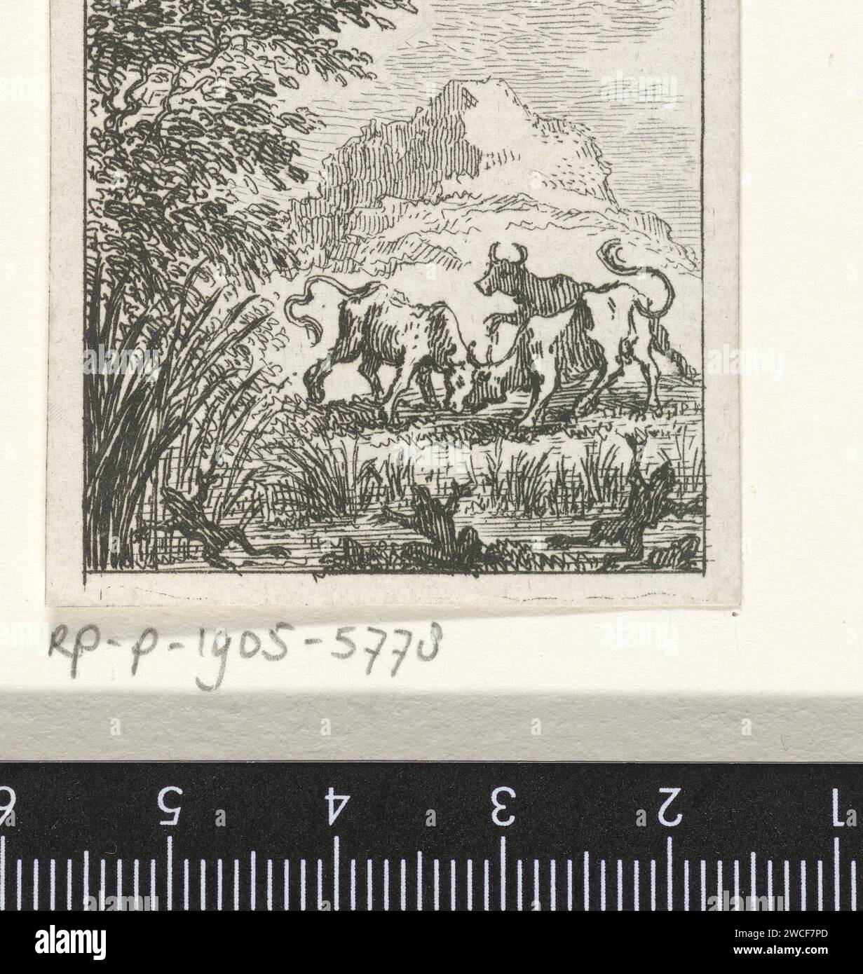Fable of the bulls in fight, Simon Fokke, 1769 print Three bulls are ...