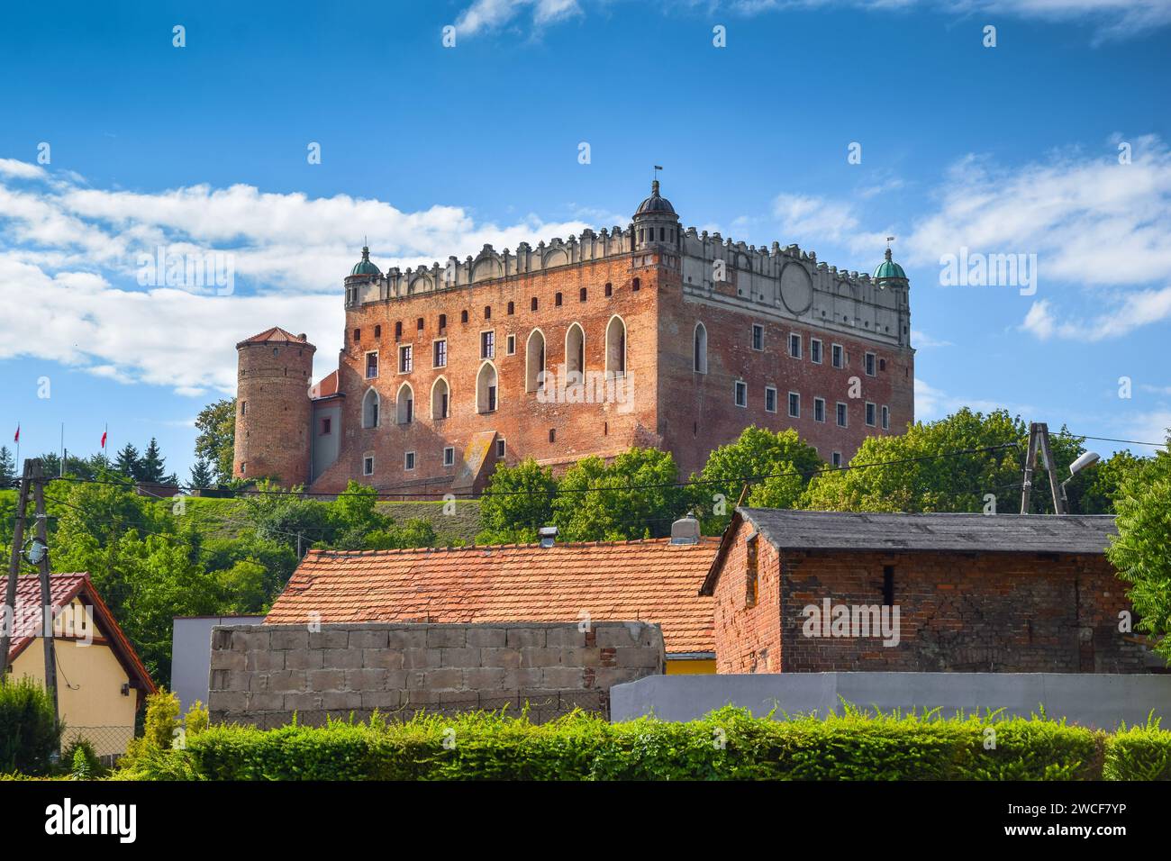 Golub hi-res stock photography and images - Alamy