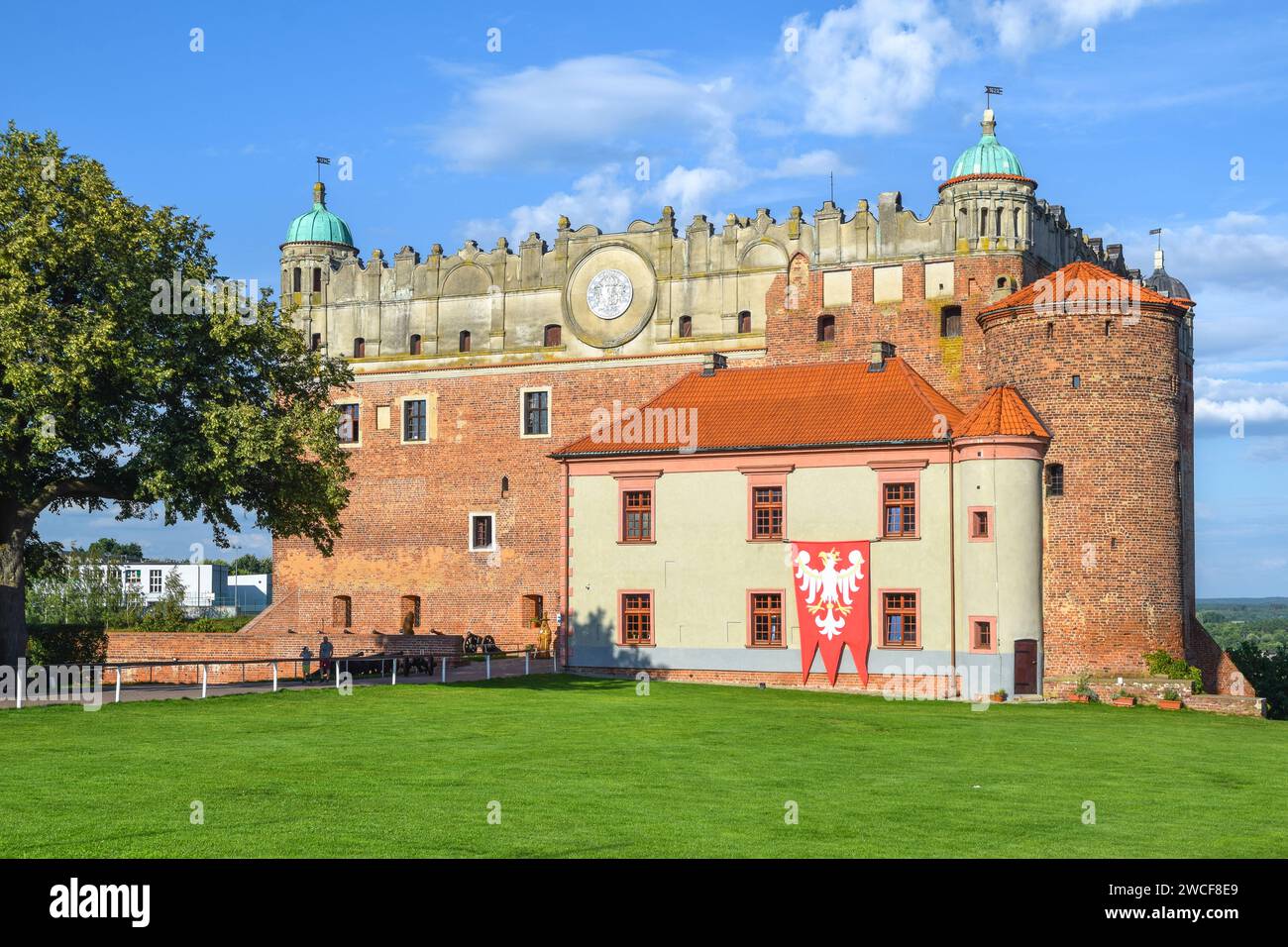 Golub hi-res stock photography and images - Alamy