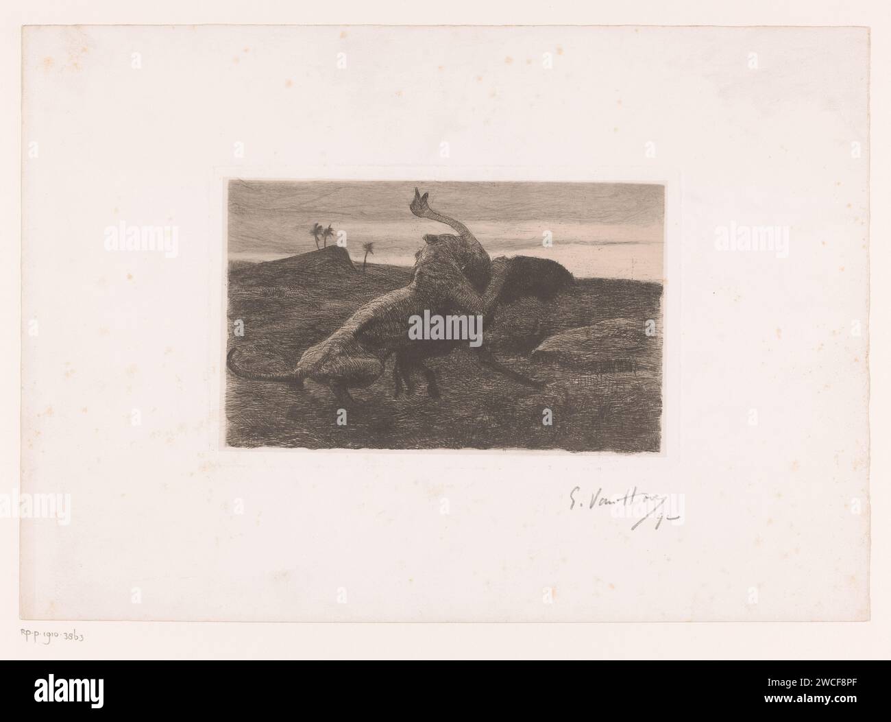 Fight between a lion and an ostrich, Eugène van Hove, 1892 print paper ...