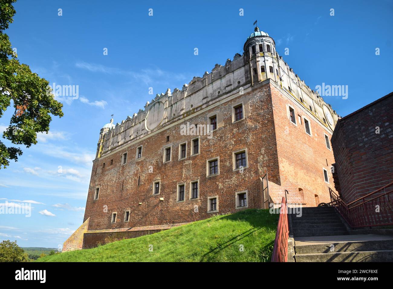 Golub hi-res stock photography and images - Alamy