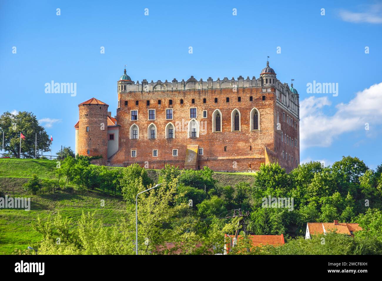 Golub hi-res stock photography and images - Alamy