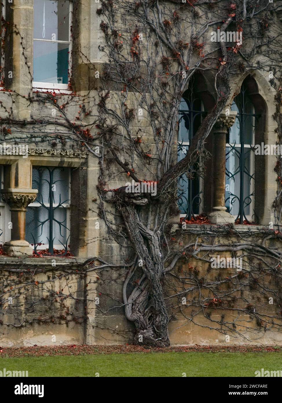 In 4k resolution hi-res stock photography and images - Alamy