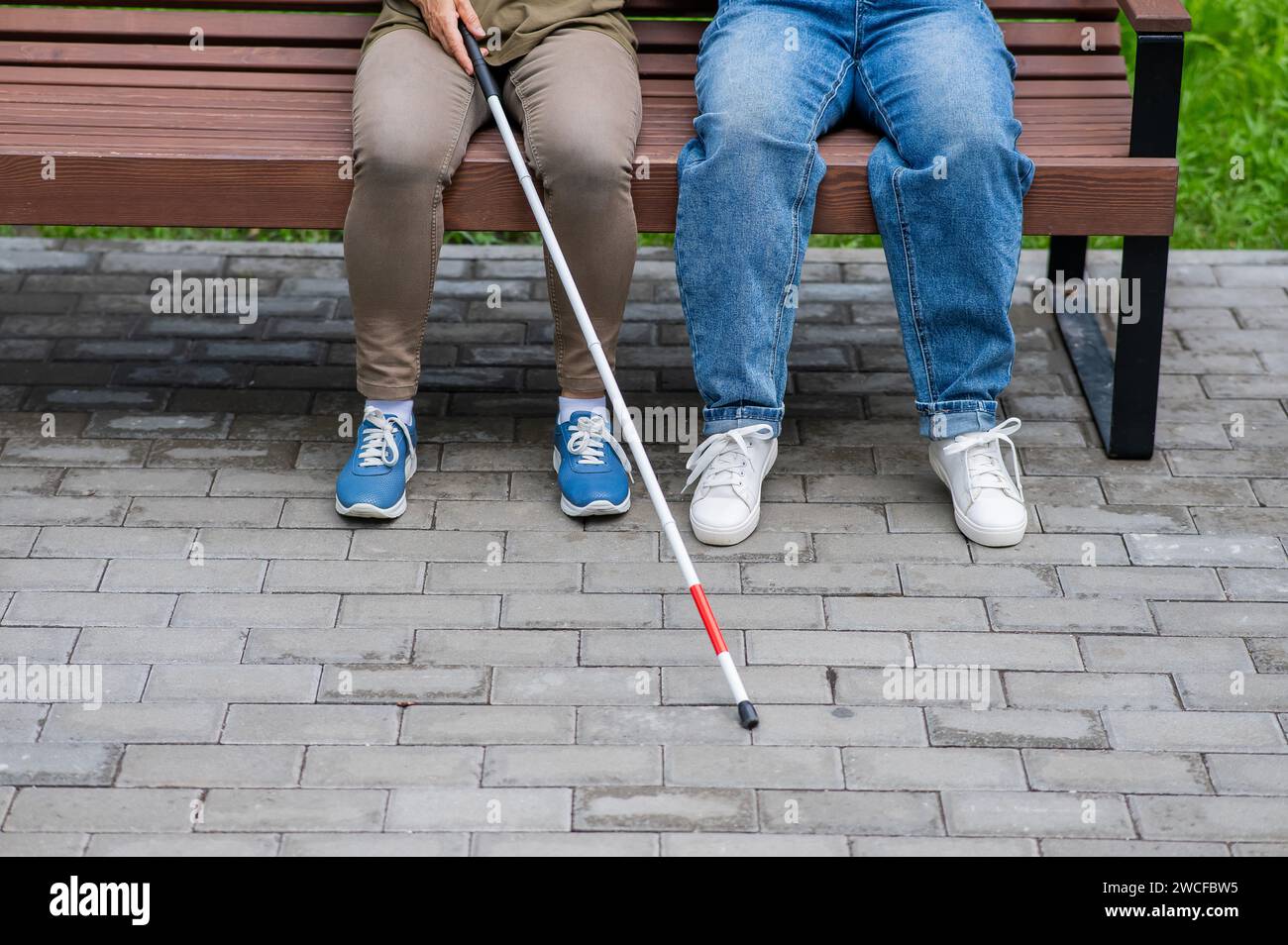 An elderly blind woman and her daughter are sitting on a bench in the ...