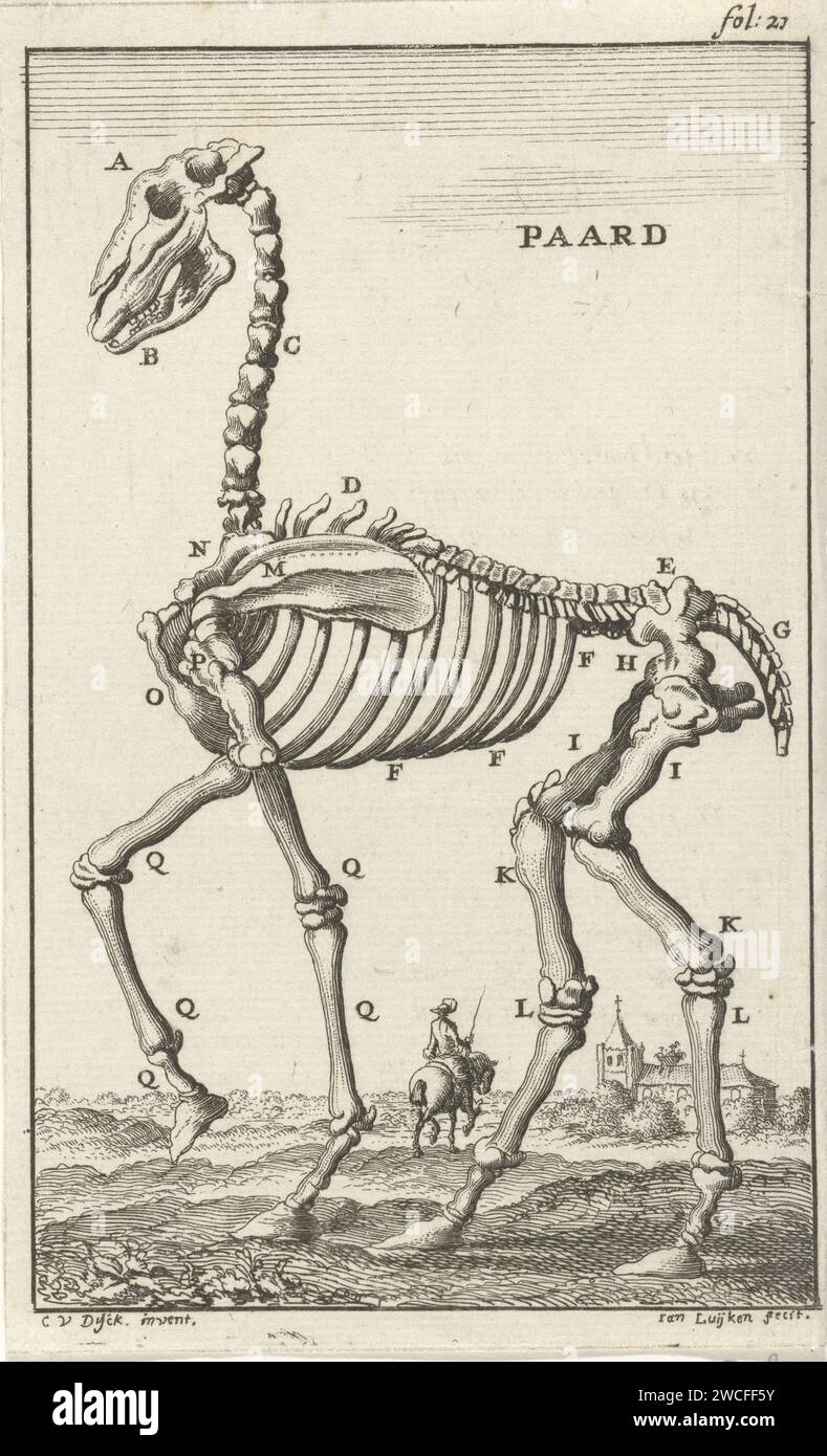 Frame of a horse, Jan Luyken, After Cornelis van Dyk, 1680 print Print ...