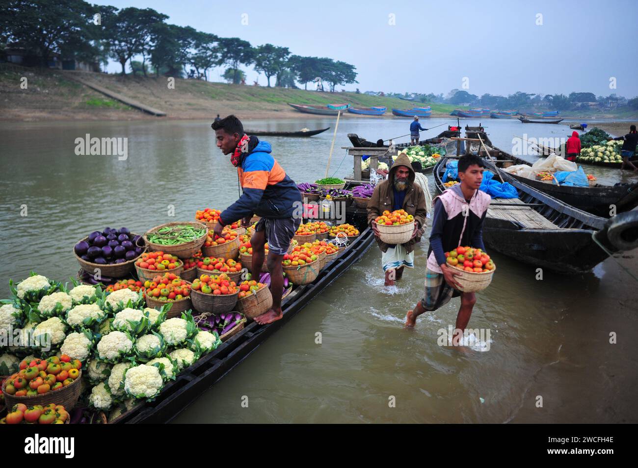 10 January 2024 Sylhet-Bangladesh: Hundreds of farmers have come from ...