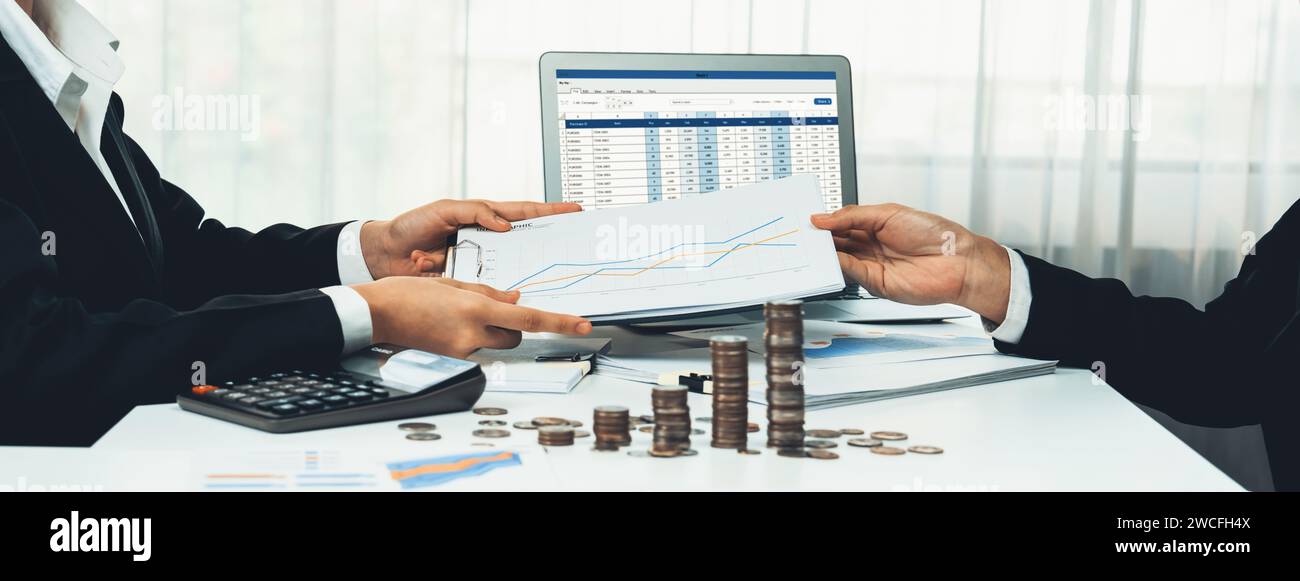 Corporate accountant use accounting software on laptop to calculate and ...