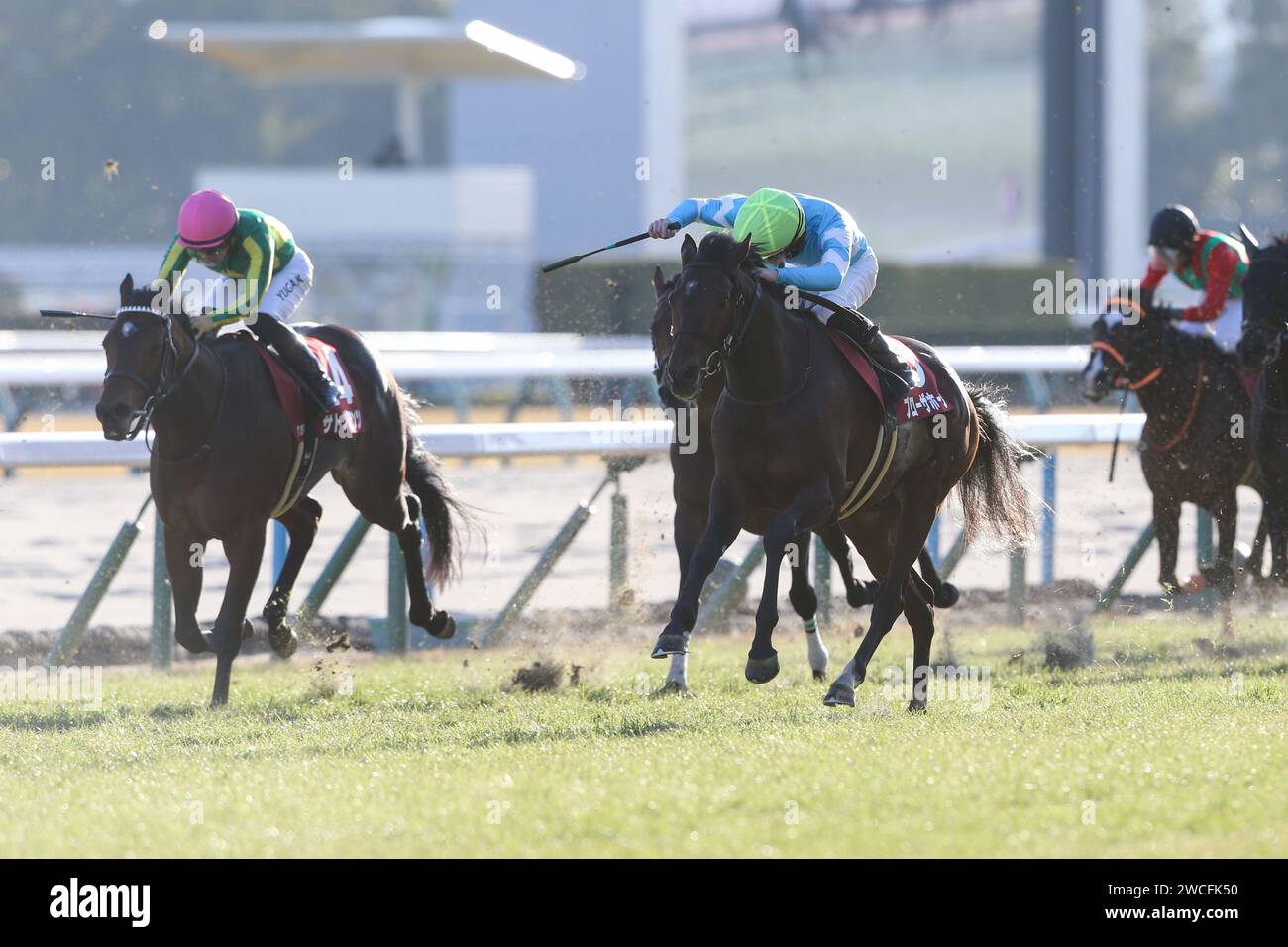 Kyoto, Japan. 14th Jan, 2024. Blow the Horn and Akira Sugawara win the ...