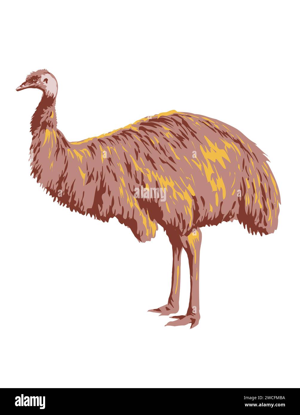 Art Deco or WPA poster of an emu viewed from side on isolated white ...