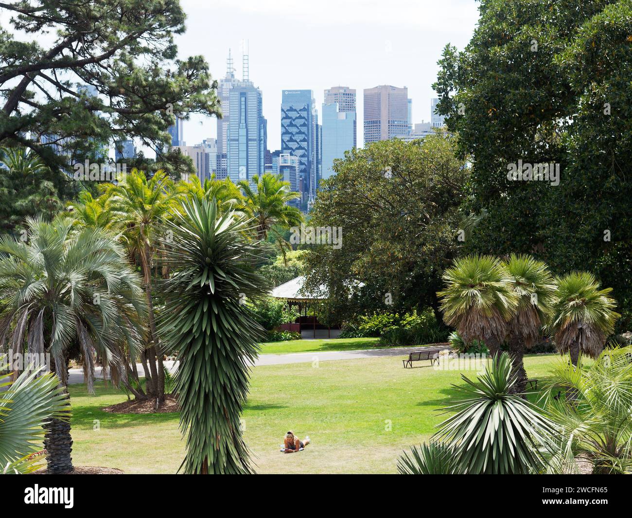 View of towers and commercial buildings in the central business ...