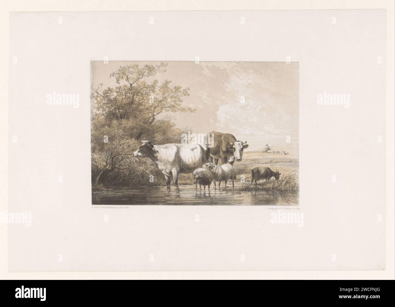 Cows and Sheep in Plas, Hendrikus van de Sande Bakhuyzen, 1847 - 1860 ...