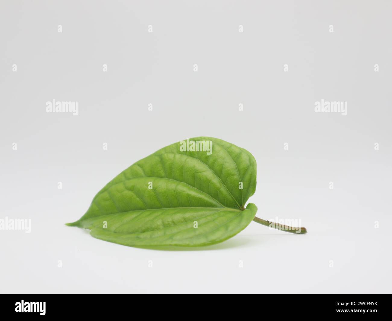 Betel leaf design hi-res stock photography and images - Alamy