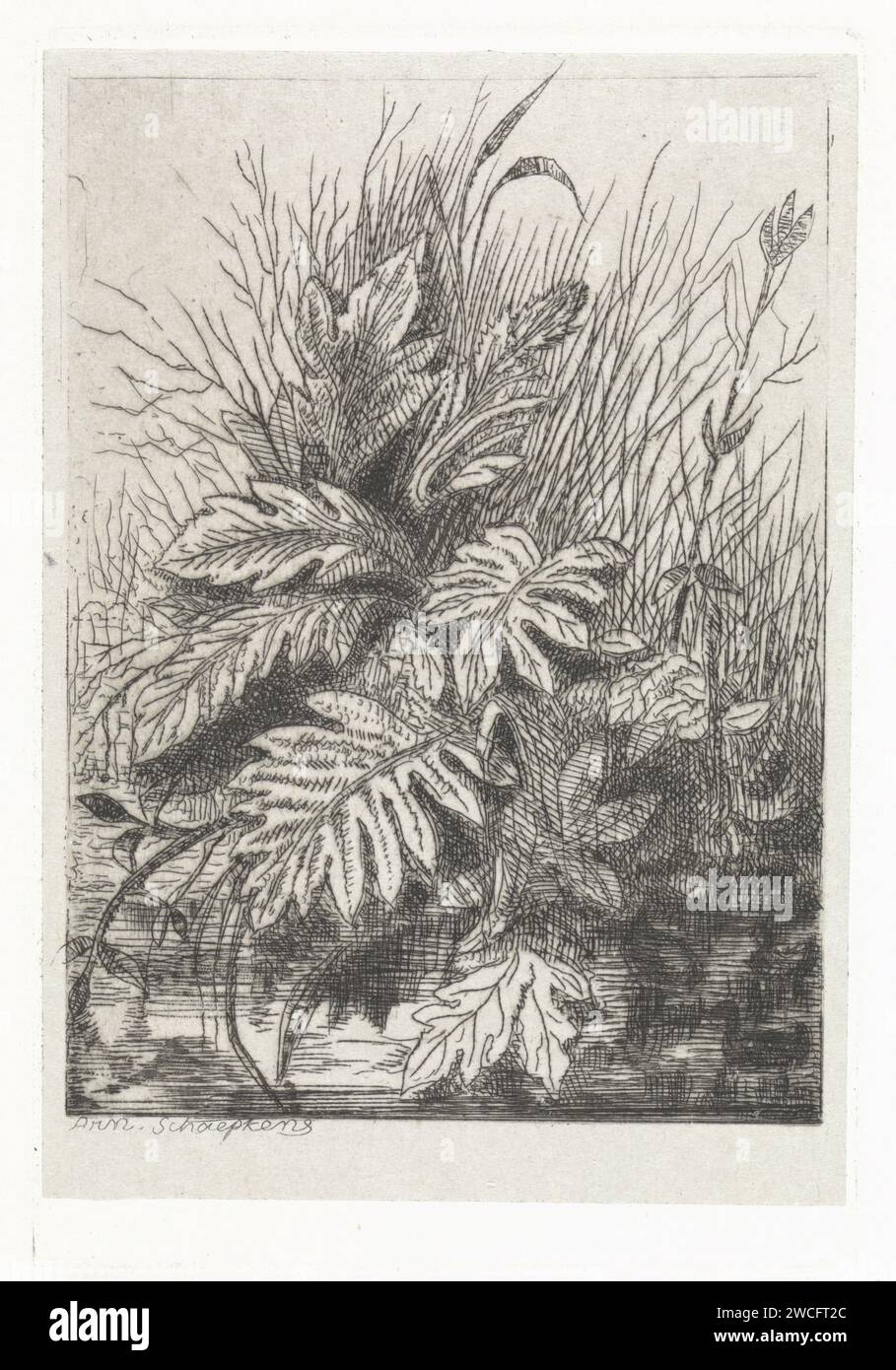 Paper drypoint Cut Out Stock Images & Pictures - Alamy