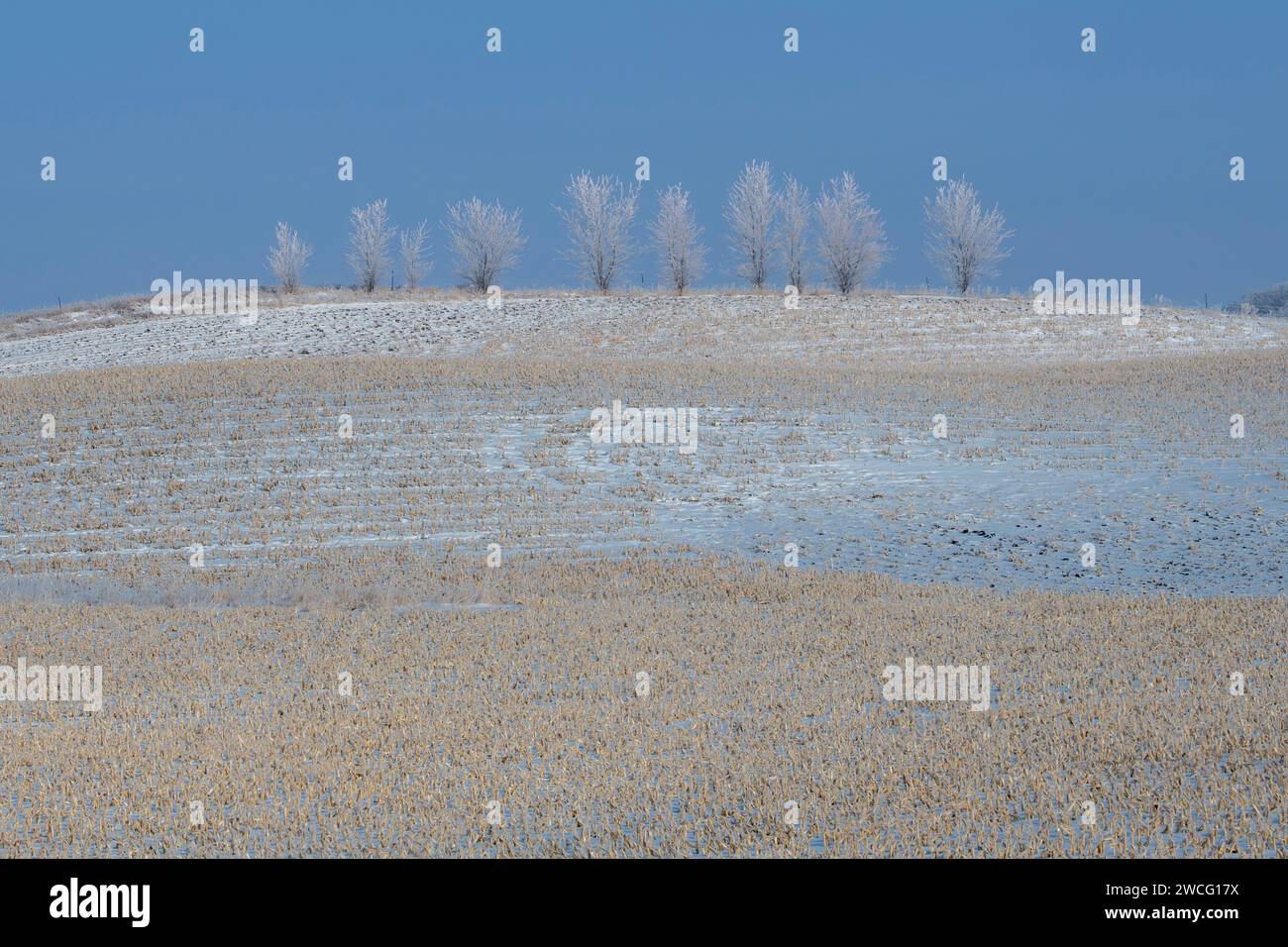 Frost line hi-res stock photography and images - Alamy