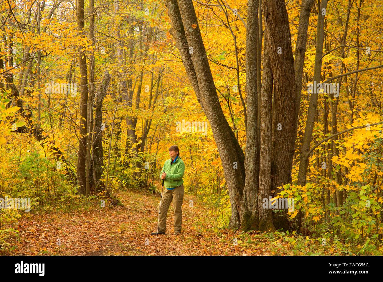 River Trail, St. Croix National Scenic Riverway, Wild River State Park ...