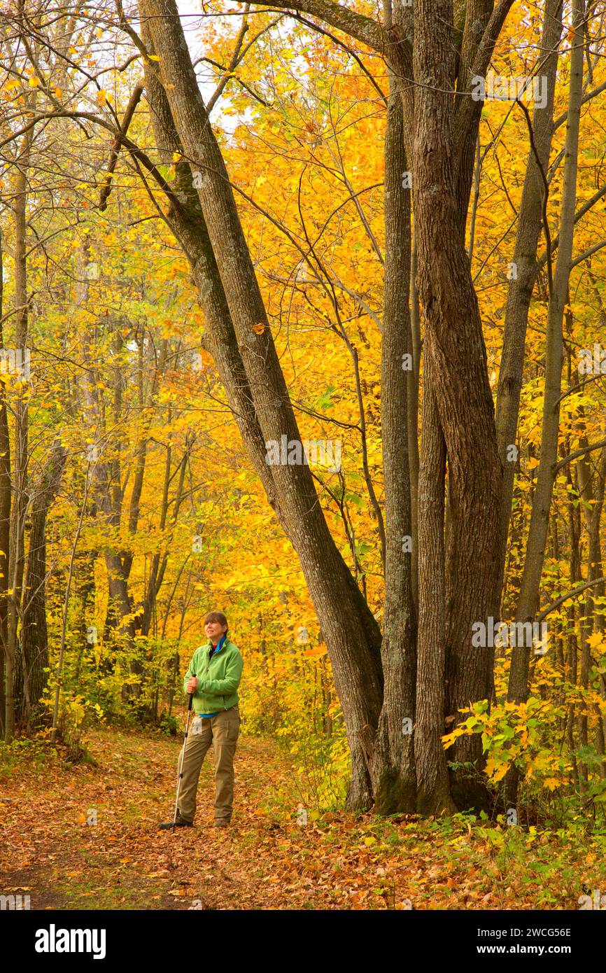 River Trail, St. Croix National Scenic Riverway, Wild River State Park ...