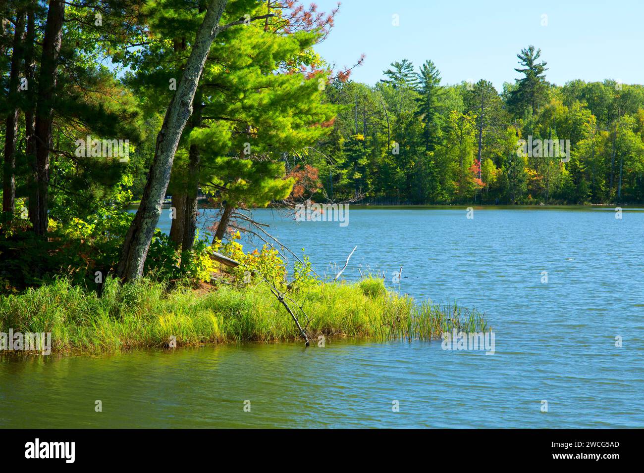 Loon lake trail hi-res stock photography and images - Alamy