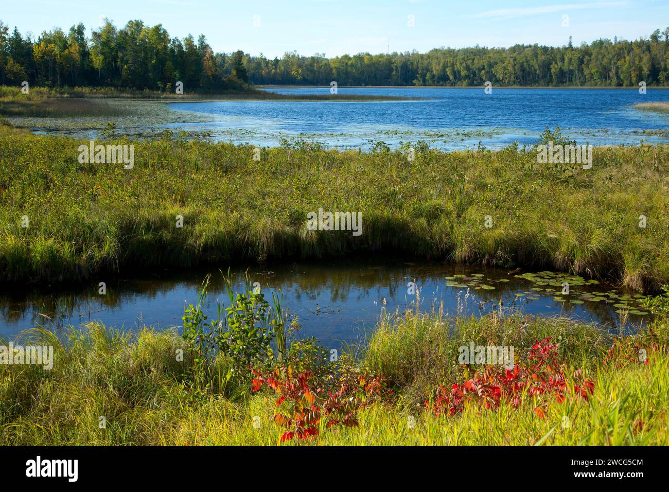 Chippewa national forest hi-res stock photography and images - Alamy