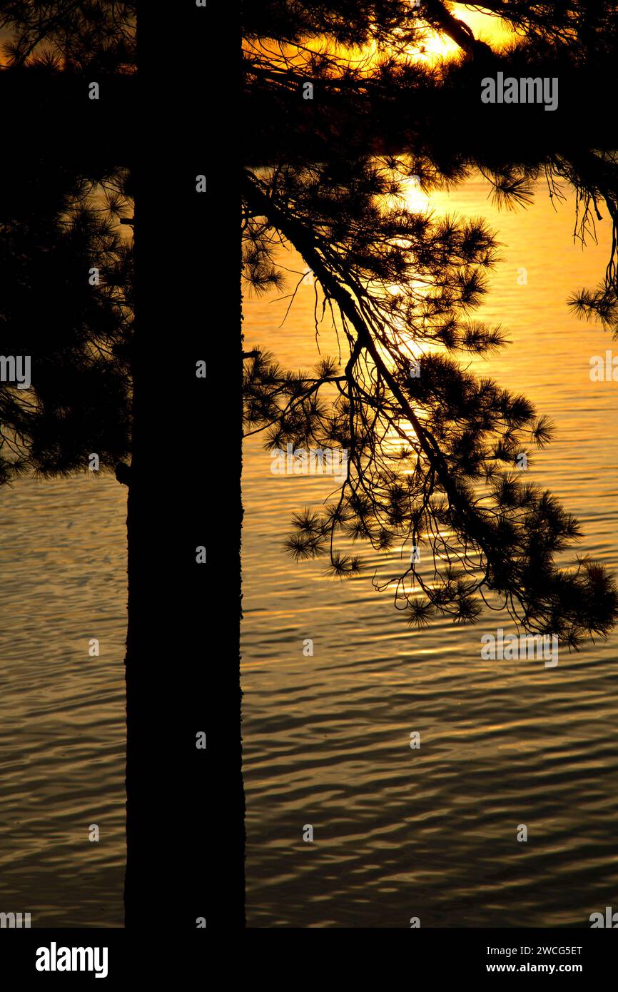 Pine sunset on Kabetogama Lake, Woodenfrog State Forest Campground ...
