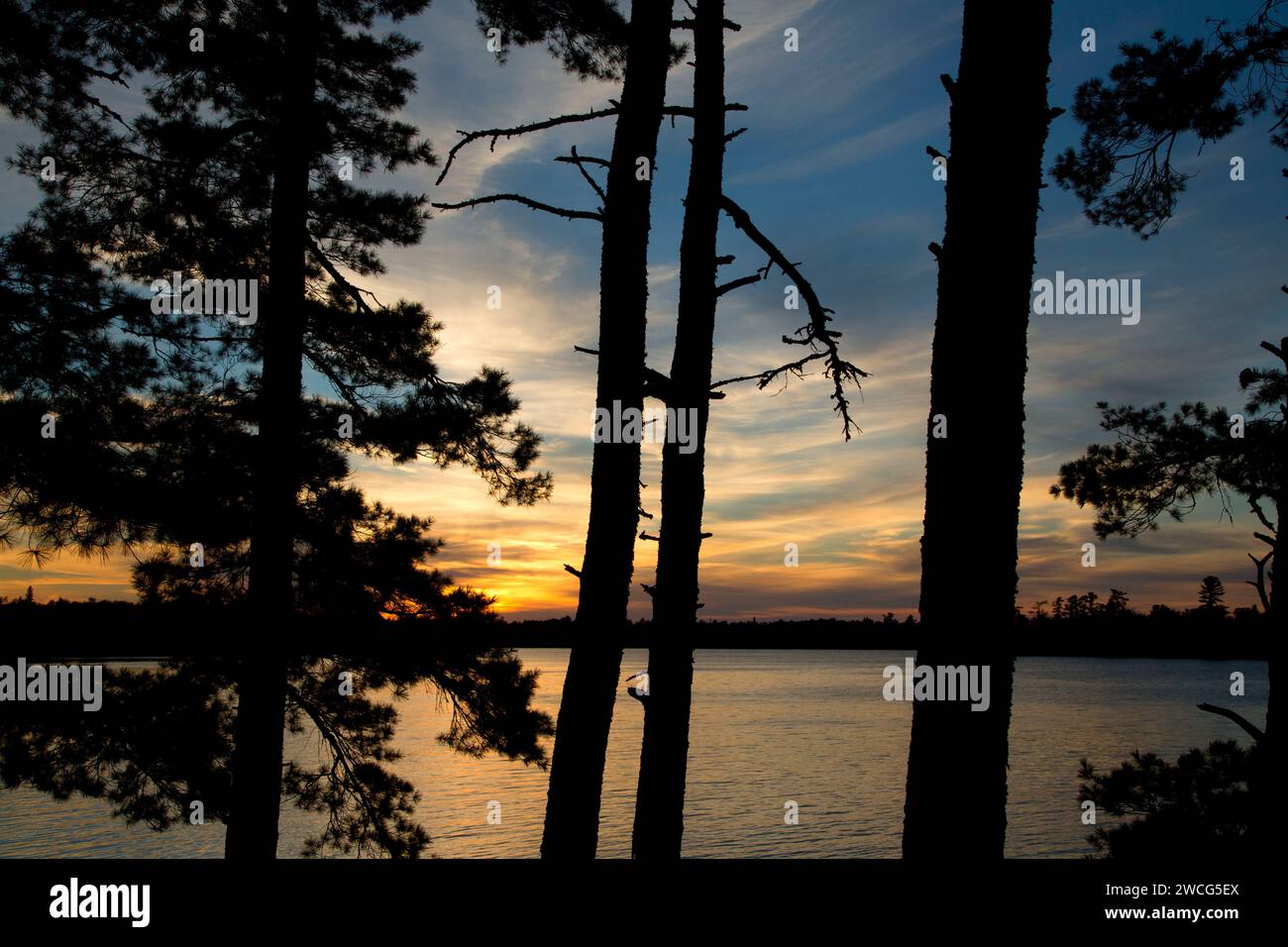 Pine sunset on Kabetogama Lake, Woodenfrog State Forest Campground ...