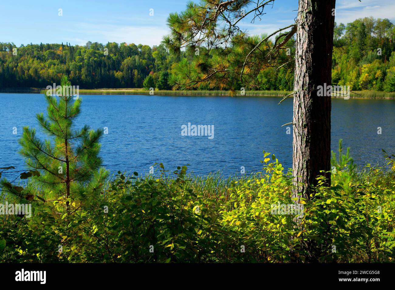 Blind Ash Bay along Blind Ash Bay Trail, Voyageurs National Park ...