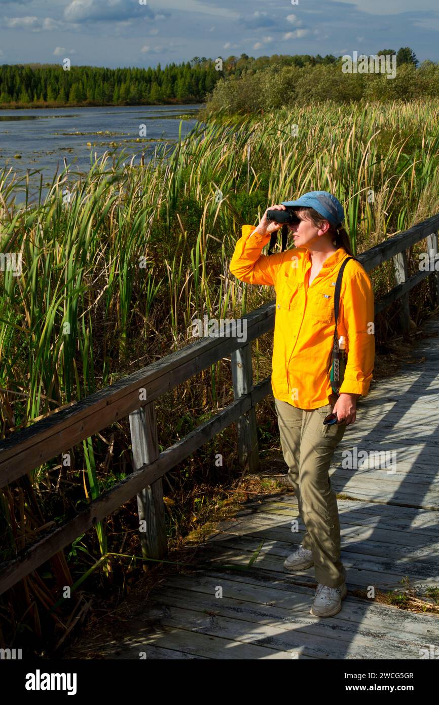 Birding on boardwalk, Wetlands Interpretive Boardwalk (Mickey Elverum ...