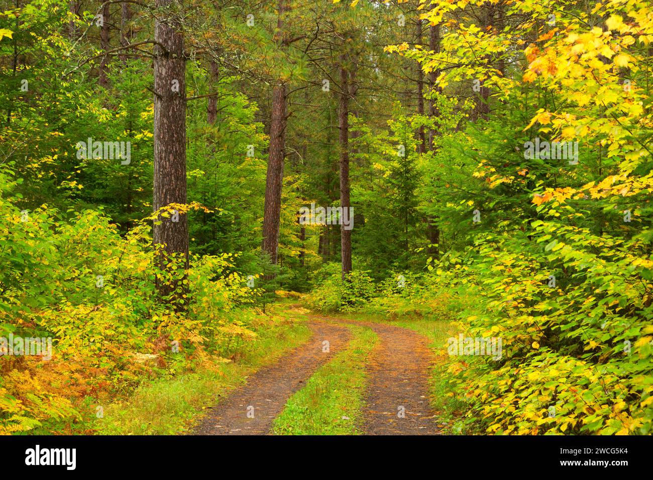 Brule wisconsin hi-res stock photography and images - Alamy