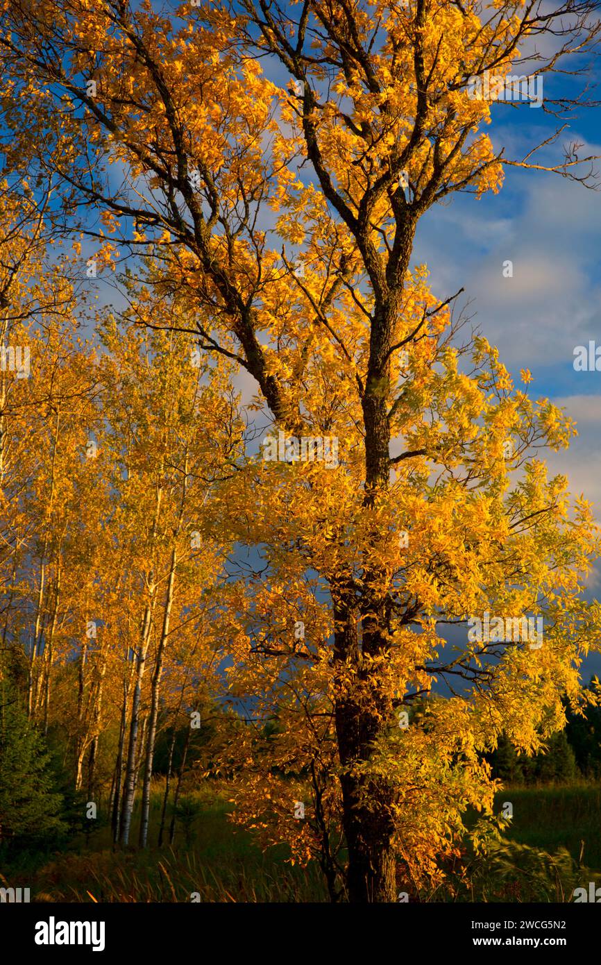 River in ash hi-res stock photography and images - Alamy