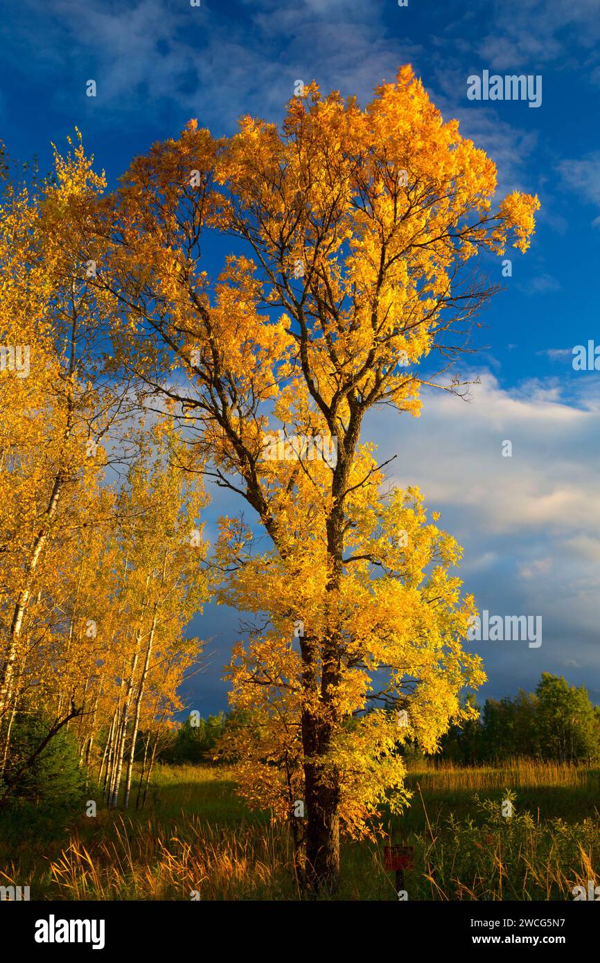 River in ash hi-res stock photography and images - Alamy