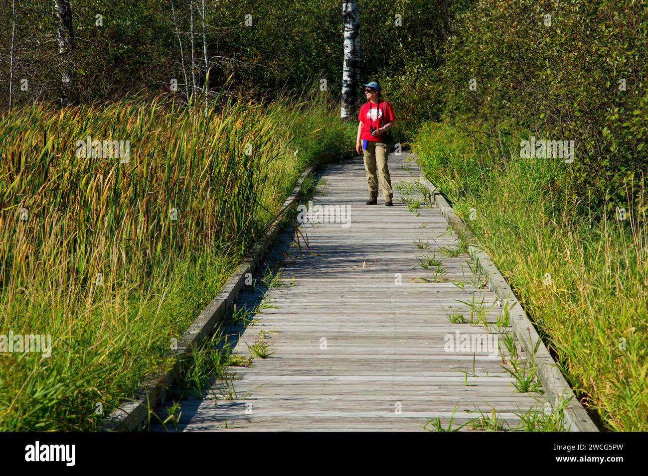 The boardwalk center hi-res stock photography and images - Alamy