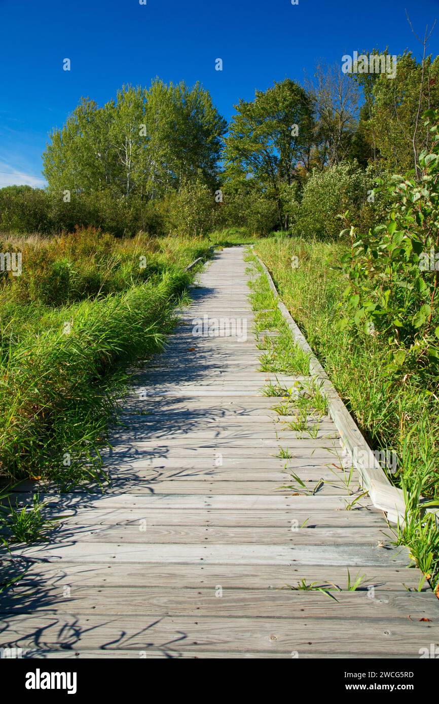 The boardwalk center hi-res stock photography and images - Alamy