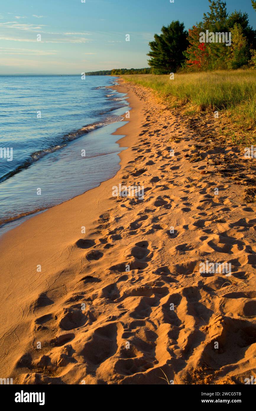 Grass footprints hi-res stock photography and images - Alamy