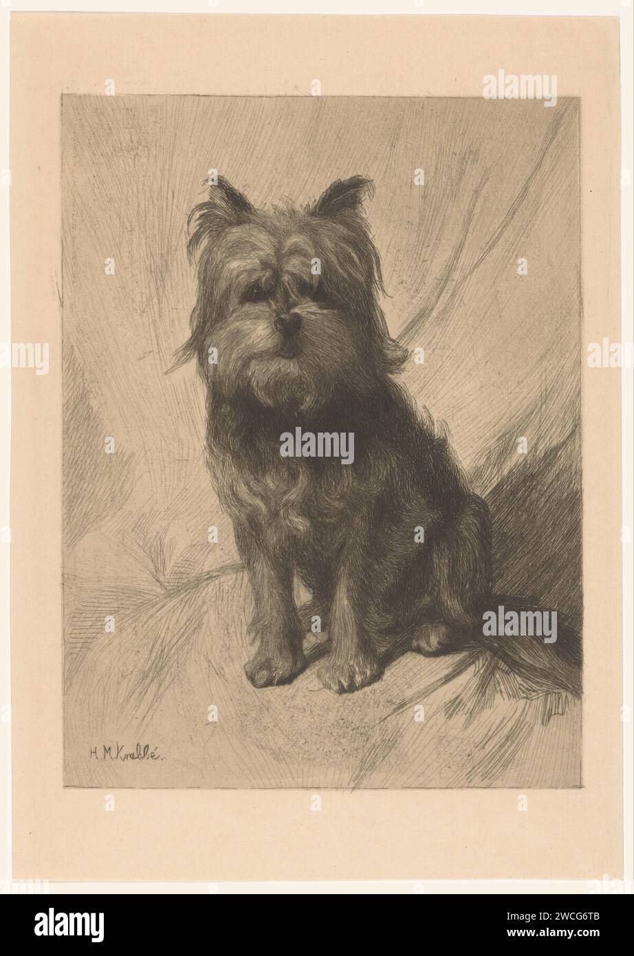 Dutch Smoushond, Heinrich M. Krabbé, 1878 - 1888 print paper etching ...
