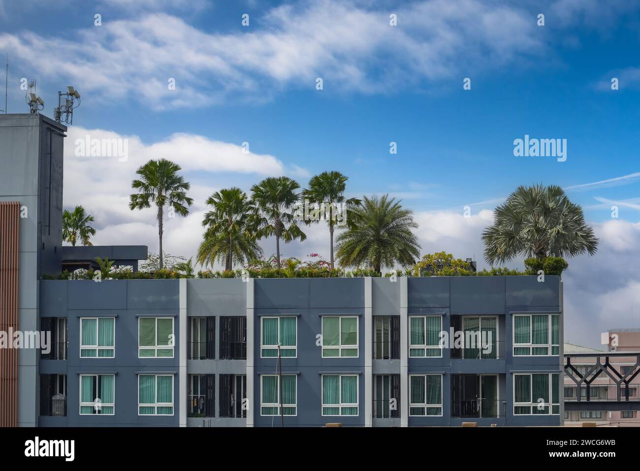 Palm trees and other plants on the roof garden modern multistorey sunny ...